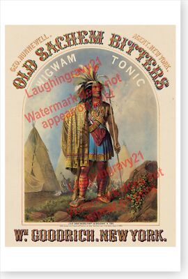 Old Sachem Bitters Wigwam Tonic Patent Medicine Native American Indian ...