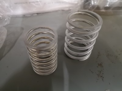 GENUINE LISTER PETTER FR1-6 CYL INNER & OUTER VALVE SPRING (PACK OF 2 ...