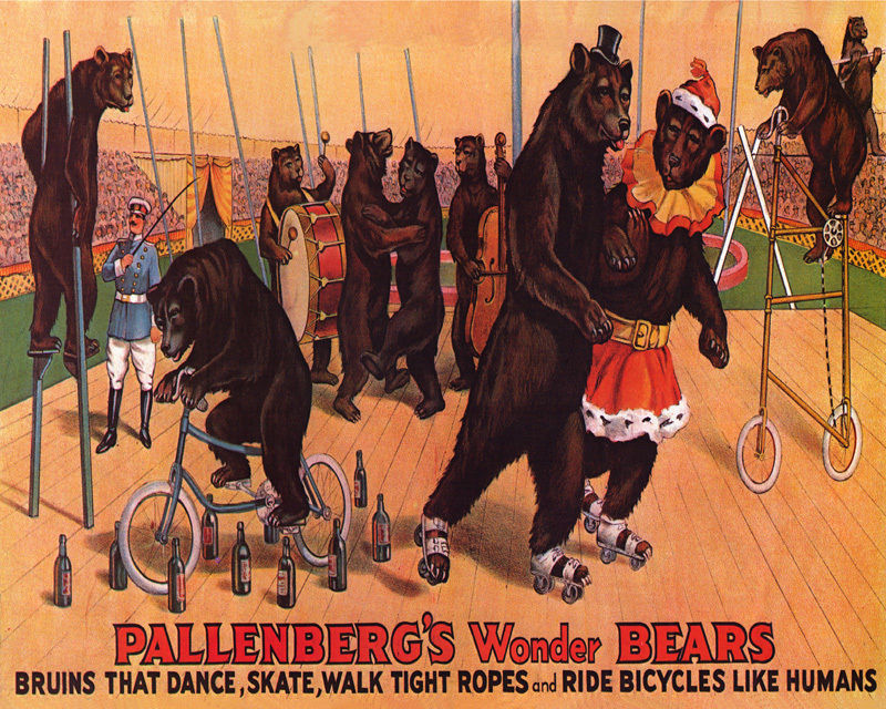 POSTER CIRCUS WONDER BEARS BRUINS DANCE SKATE RIDE BICYCLE VINTAGE ...