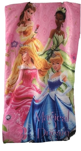 Disney princess magical dream sleeping bag with Tiana | eBay