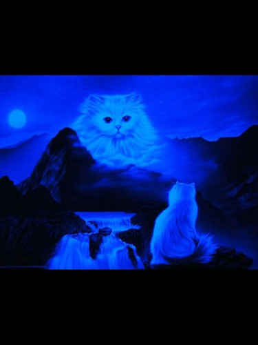 UV Schwarzlicht Poster Neon Druck "Moonlight" 64x90cm Blacklight 80s ...