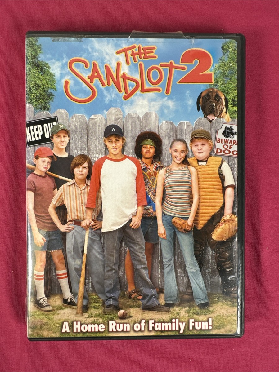 Sandlot 2 David