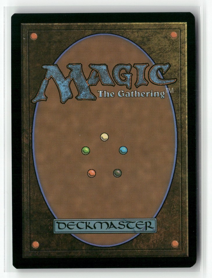 Plains (240) (Borderless) Unfinity UNF MTG Magic | eBay