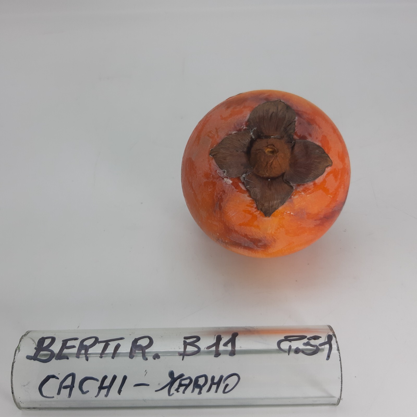 Cachi in Marmo (Set /2 pz), Mix Natura, Frutta in Marmo, B11, Berti ...