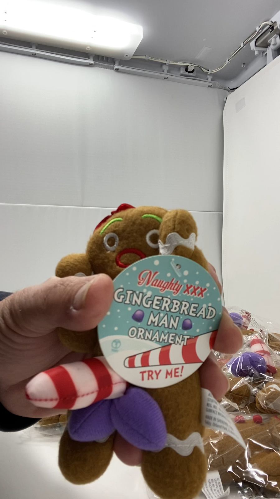 Naughty Gingerbread Man Ornament-Dirty Talking Hanging Christmas ...