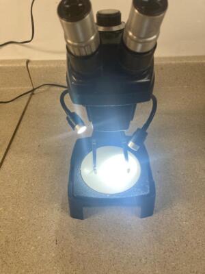 Microscopes - Bausch Lomb Stereo Zoom