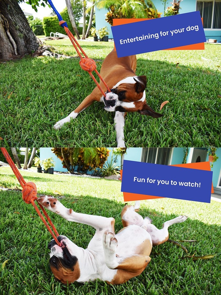 Fenidog Outdoor and Indoor Bungee Hanging Dog Toy, Interactive Tether ...
