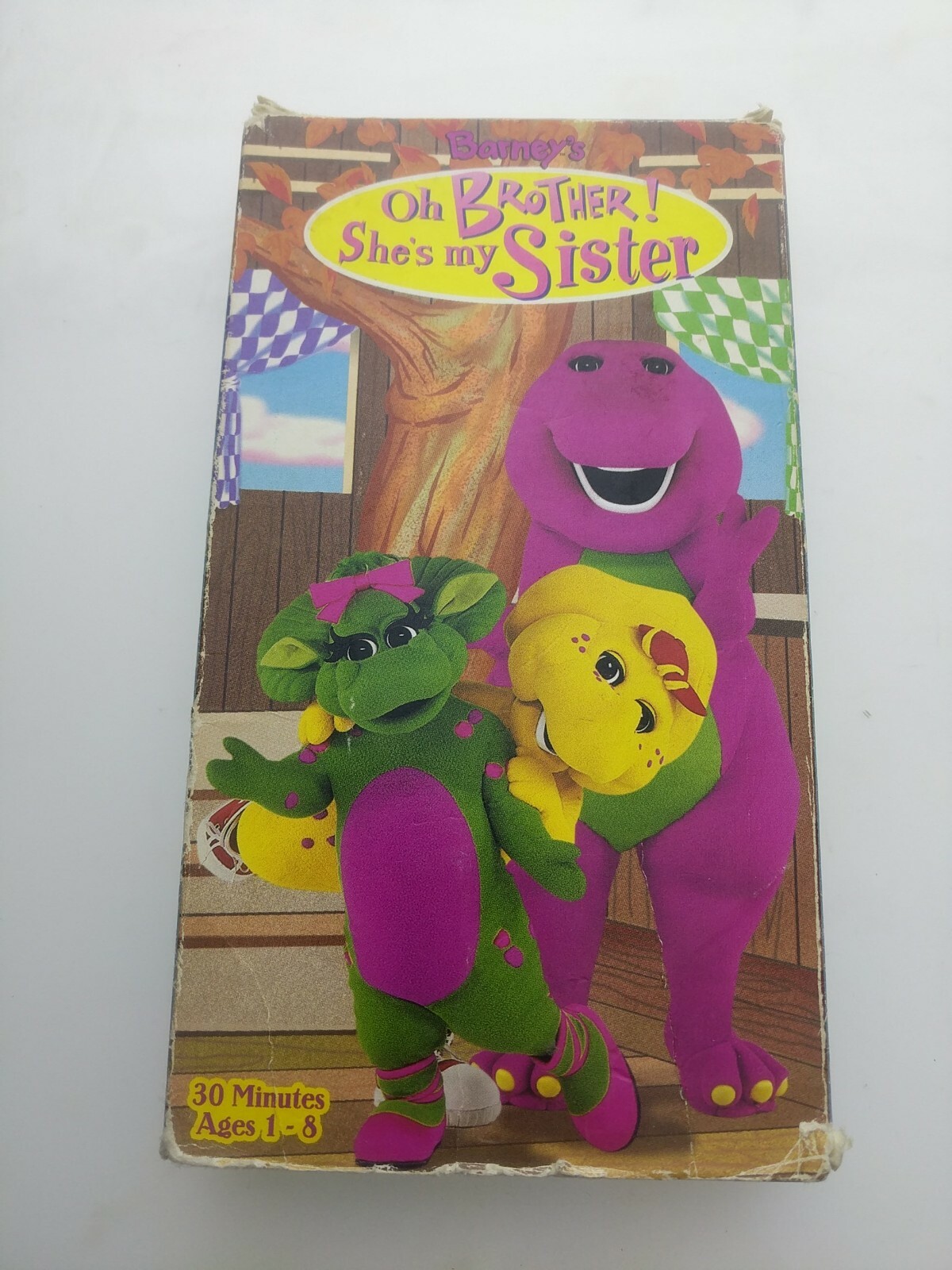 Barney Oh Brother She’s My Sister VHS | Grelly USA