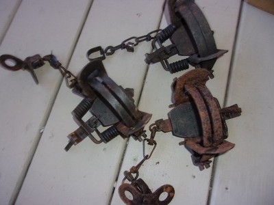 TRAPPING 3 COIL SPRING 175 JUMP TRAP PROFESSIONAL OFF SET TRAPS JAWS | eBay