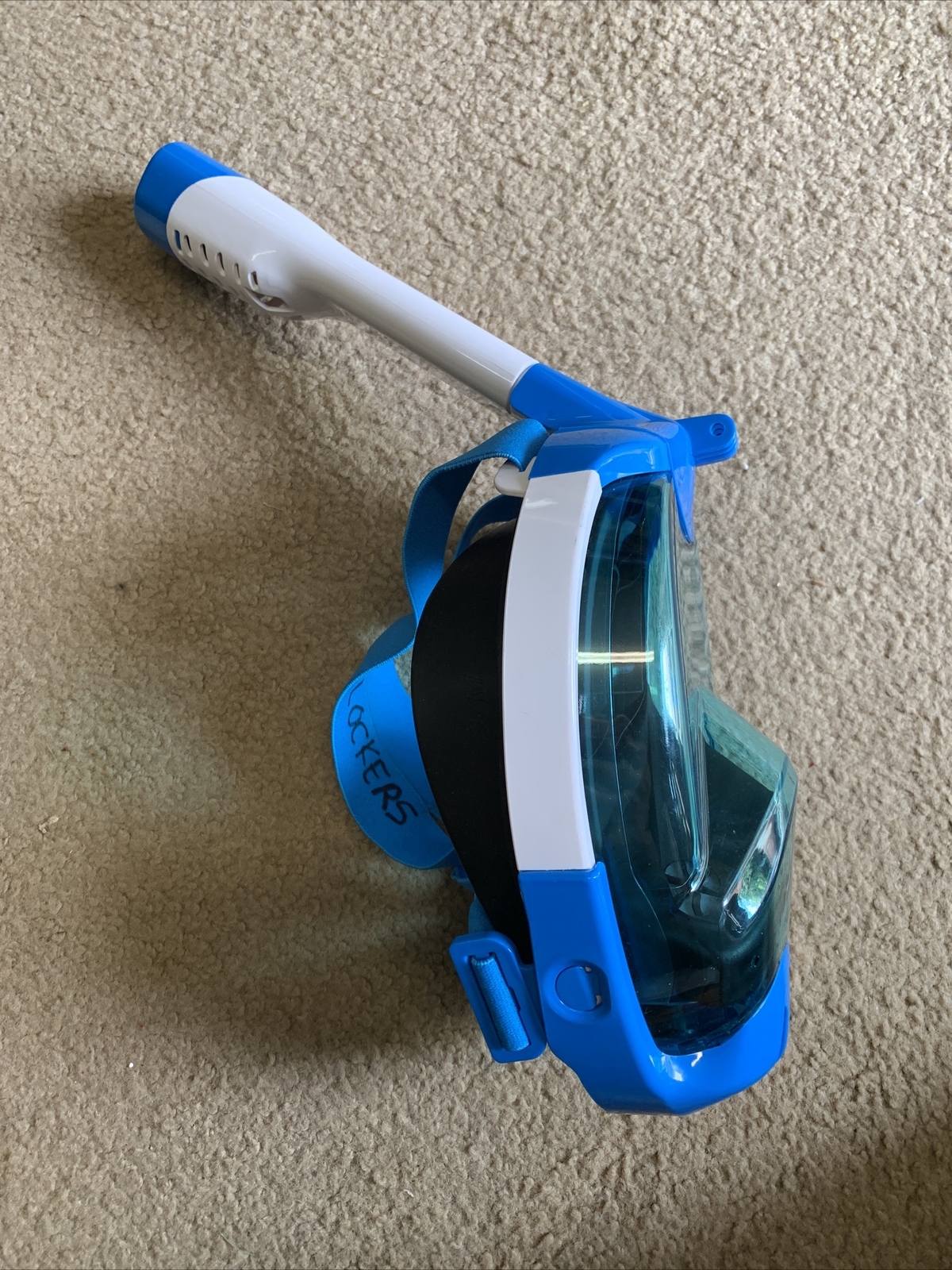 Dolfino Full Face Snorkel | eBay