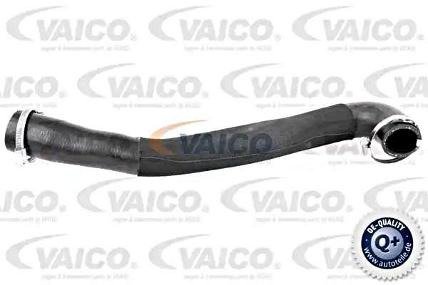 Charger Intake Hose VAICO Fits FORD C-Max II Focus Saloon 1784511 | eBay