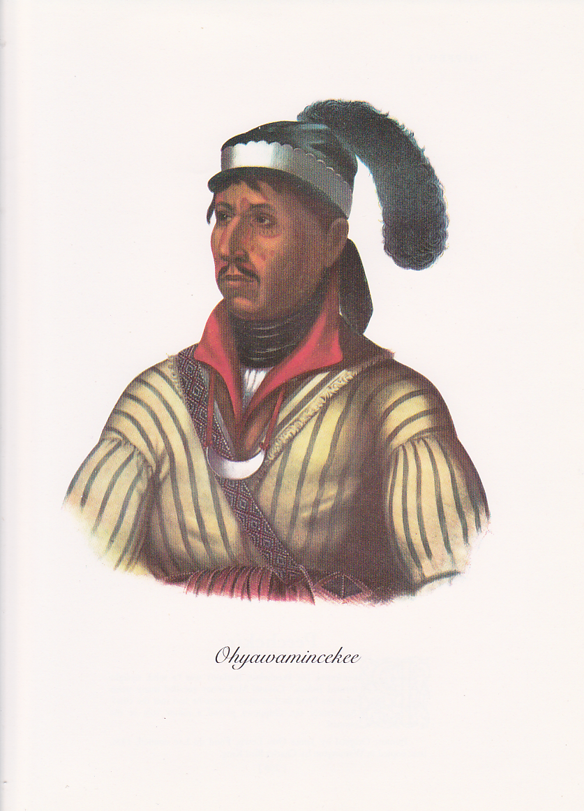 1972 Vintage Full Color Art Plate "CHIEF YELLOW THUNDER" NATIVE AM ...