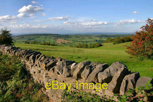Photo 6x4 Mendip dry stone wall Barton/ST3956 c2006 | eBay