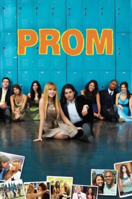 Prom (DVD, 2011, Widescreen, Disney) ***DVD DISC ONLY*** NO CASE ...