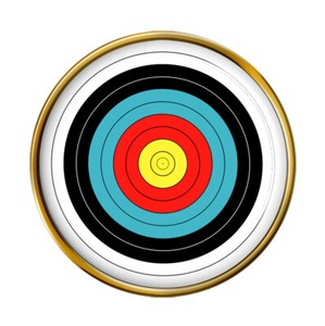 Archery Target Pin Badge | eBay
