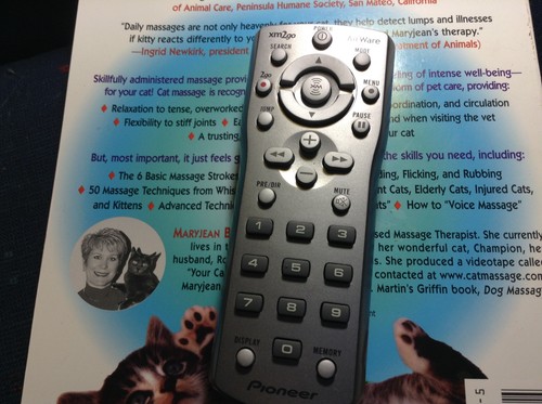 Pioneer XMTSZ0219200 XM2GO Airware XM Satellite Radio Remote ...