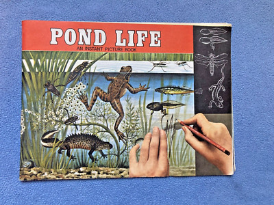 Pond Life Instant Picture Book/Patterson Blick Unused Picture Transfers ...