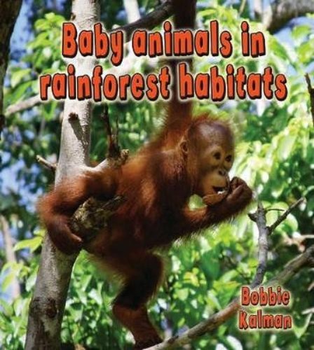 Bobbie Kalman Baby Animals in Rainforest Habitats (Taschenbuch) (US ...