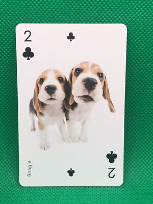 Beagle Clover 2 THE DOG Playing card Artlist Collection Japan | eBay