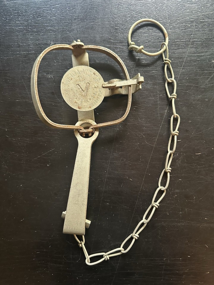 Abbott's Daring Spring Trap - animal trap magic trick | eBay