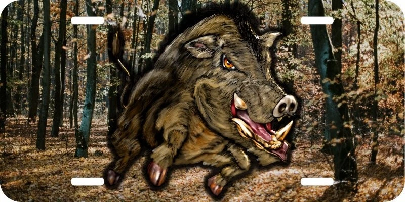 Razorback Boar