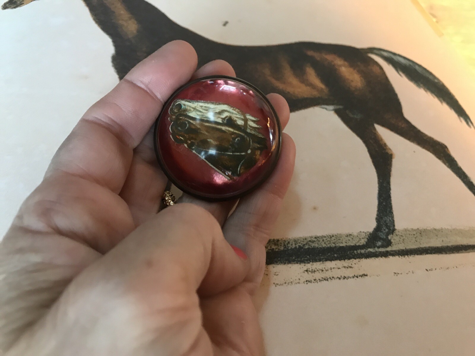 Antique Equestrian Bridle Rosettes Reverse Painted Gl… - Gem