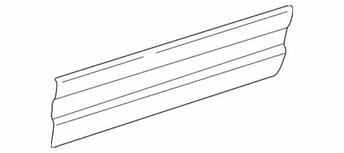 Ford OEM 8 W 7 Z 5420878 AAPTM Front Door Body Side Molding for sale ...