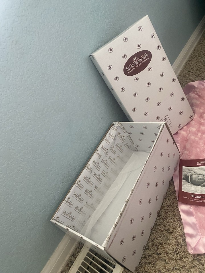 Reborn Newborn Bundle of Love Ashton Drake Galleries Baby Doll | eBay