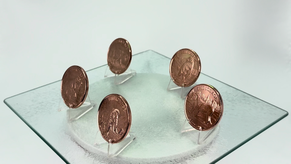 Copper Art Coins * Ice Age Series * 5-Piece Set * Fine .999 Bullion ...