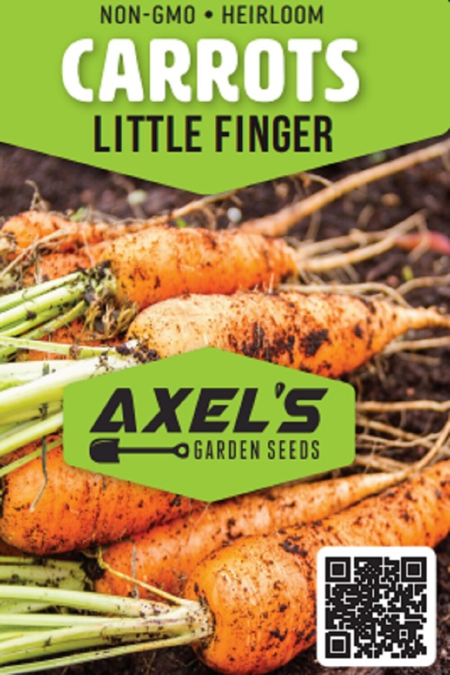 Little Finger Carrot Seeds | Heirloom | Non-GMO | Fresh Vegetable Seeds ...