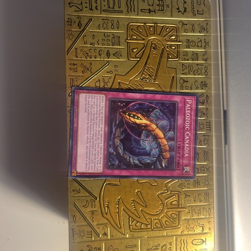 Paleozoic Canadia SDCS-EN039 Yu-Gi-Oh! Card NM 1st Edition | eBay