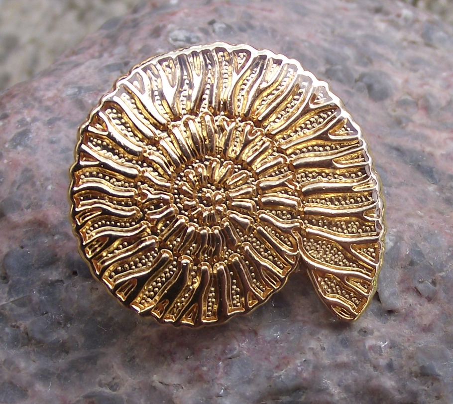 Beautiful Golden Ammonite Fossil Prehistoric Mollusc Shell Brooch Tie ...