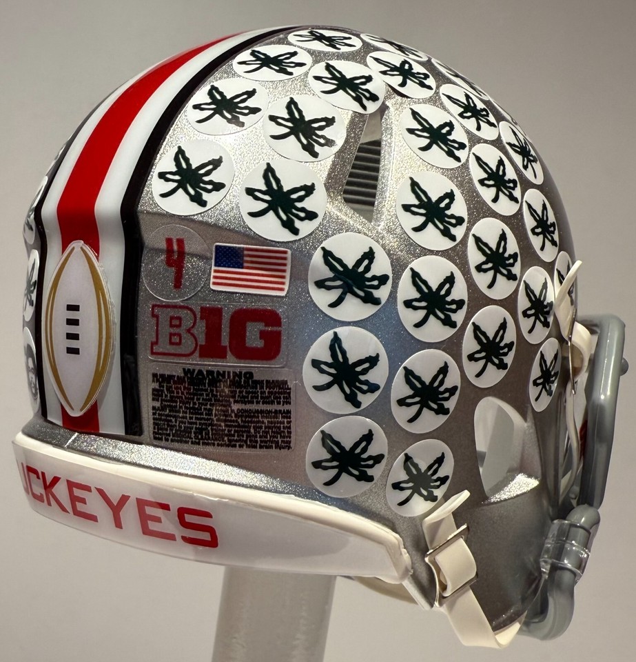 Ohio State Buckeyes 2024/5 National Championship Mini Riddell Football ...