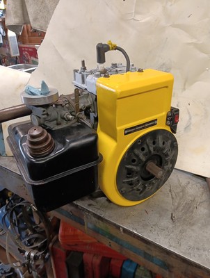 Briggs Raptor Race Engine | eBay