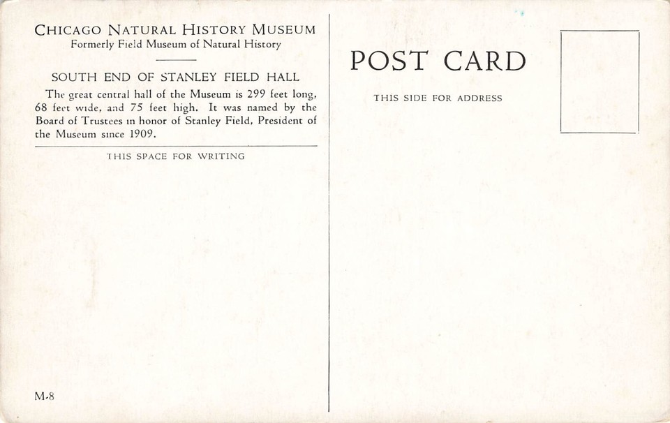 STANLEY FIELD HALL NATURAL HISTORY MUSEUM POSTCARD CHICAGO IL ILLINOIS ...