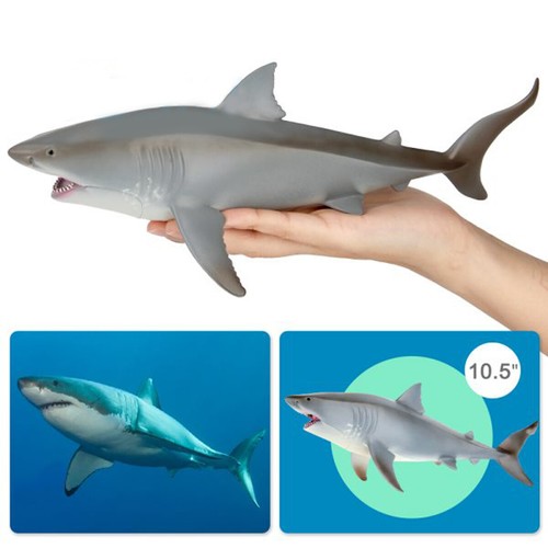 10" Great White Shark Meg Model Figure Ocean Animal Toy Collector For ...