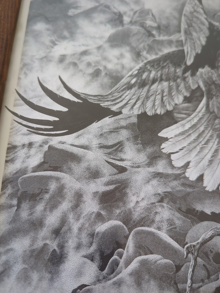 Framed 19.5x15" Bill O'Neill 1982 Print Of Timberline Bald Eagle ...