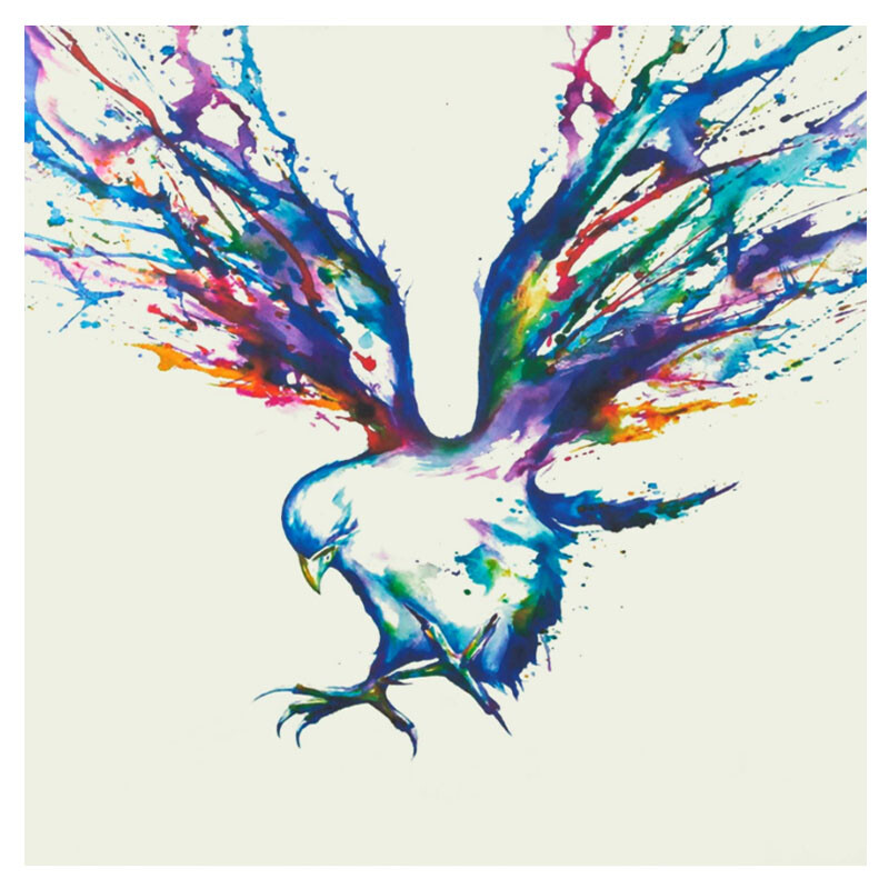 Colorful Animal Drawings