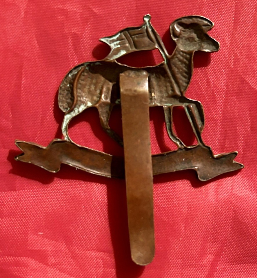 WW1 British Army, The Queen's West Surrey Regiment Cap Badge | eBay