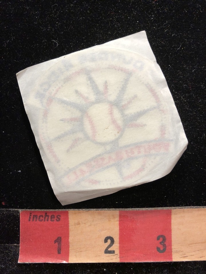 DUNDEE RIDGE YOUTH BASEBALL Patch 83V7 | eBay