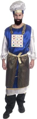 Dress Up America Jewish High Priest for Adults - Kohen Gadol Costume ...