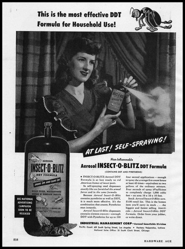 1946 Insect-O-Blitz Aerosol DDT Bug Spray Formula Housewife Photo Print ...