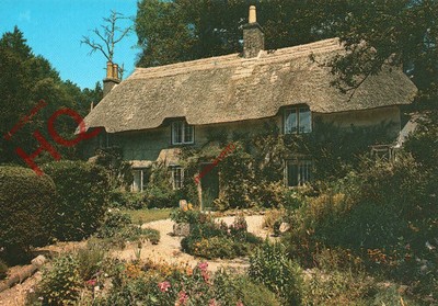 Postcard> Higher Bockhampton, Thomas Hardy's Birthplace [Salmon] 5-02 ...
