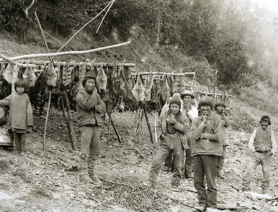 Native American Salmon Drying Camp Salmon Fishing Alaska Indian Tribe ...
