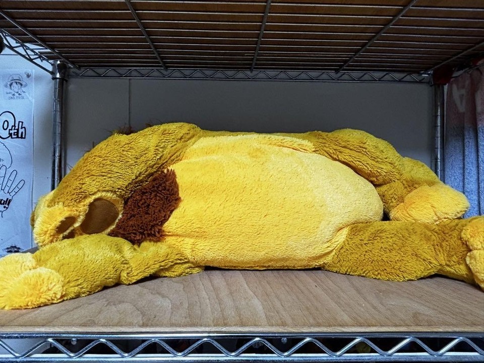 Disney Lion King Simba Plush Pillow Adult Version TDR 90cm Japan ...