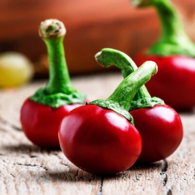 Lot De 25 Graines De Piment Red Cherry Small Seed Piment Extra Fort | eBay