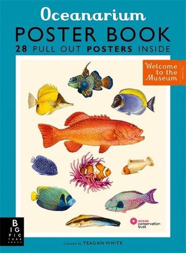Oceanarium Poster Book by Loveday Trinick Paperback Book 9781800783652 ...