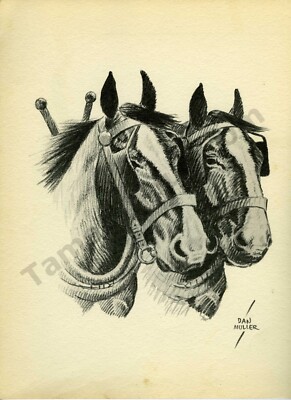1936 Horse Art Dan Muller - The Pals - BOOK PAGE LITHO ART (1594) | eBay