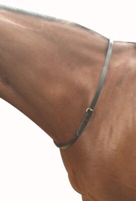 Kincade Horse Neck Strap ALL SIZES & COLOURS | eBay UK