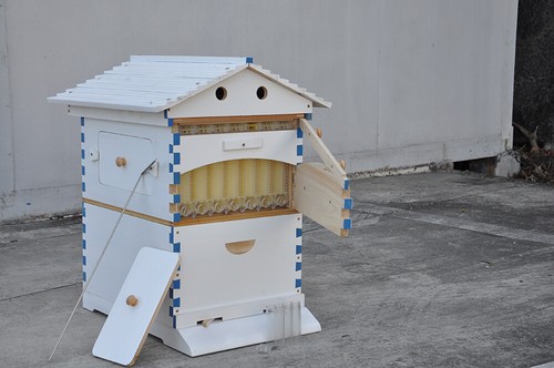 Auto Seeping Bee Hive Beekeeping Brood Wooden House Bee Boxes &7 ...